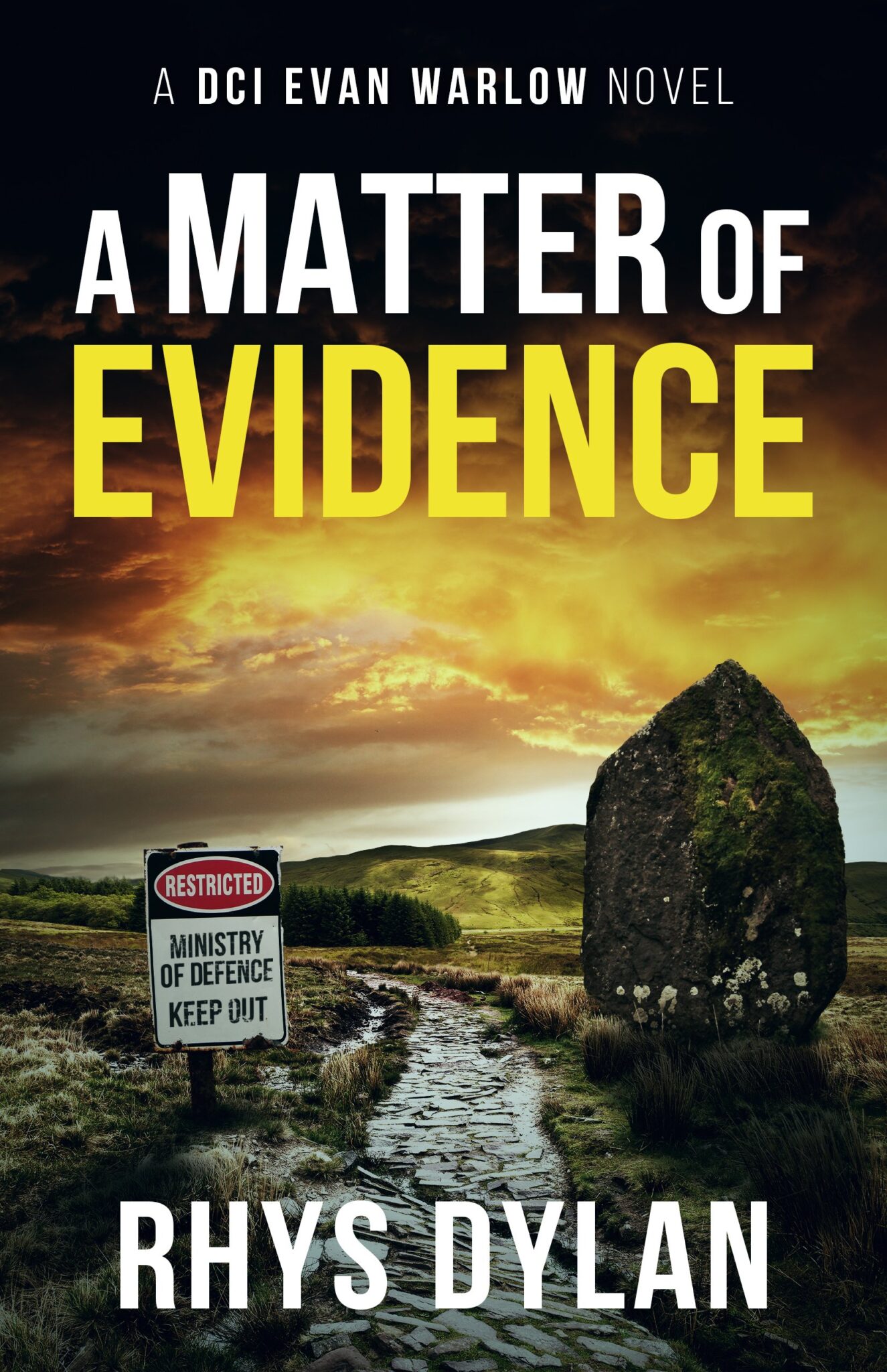 Rhys Dylan Crime Fiction Author